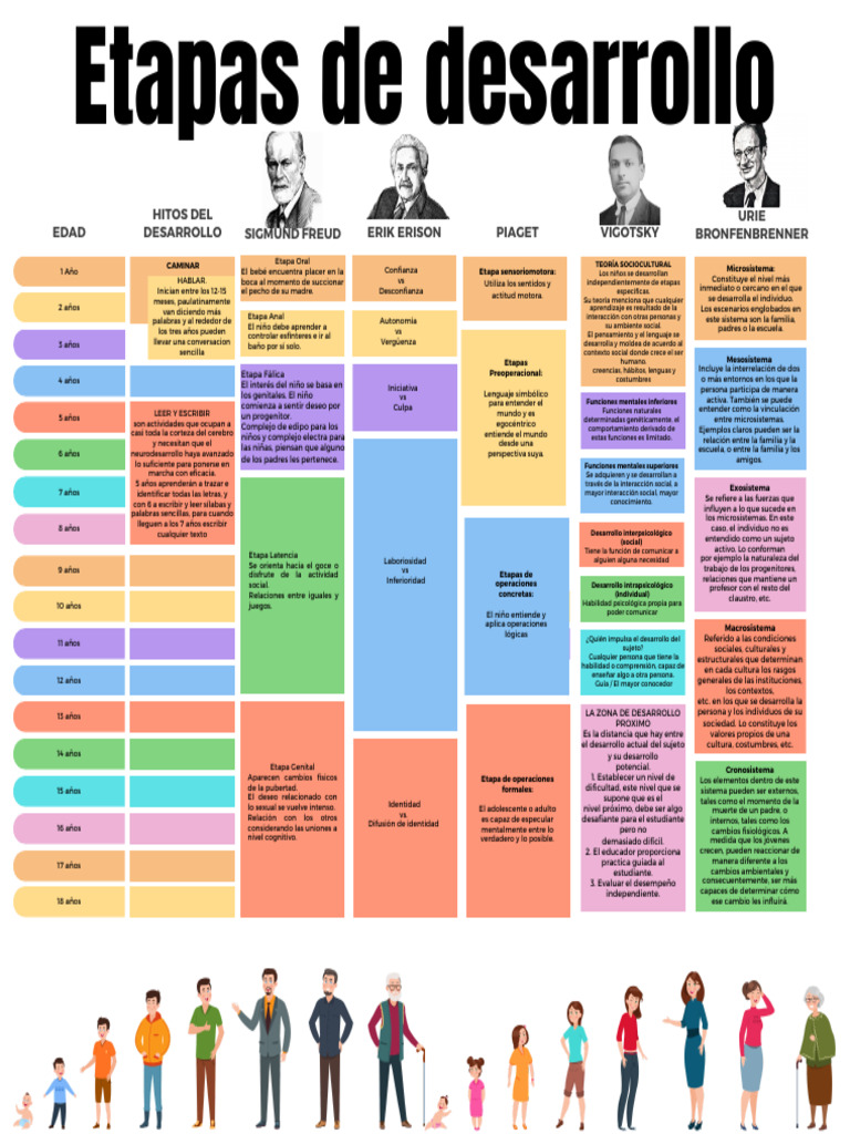 Etapas del Desarrollo | PDF | Adultos | Ciencia cognitiva