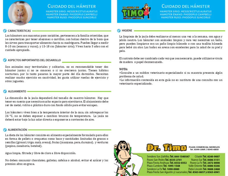 Hamster | PDF