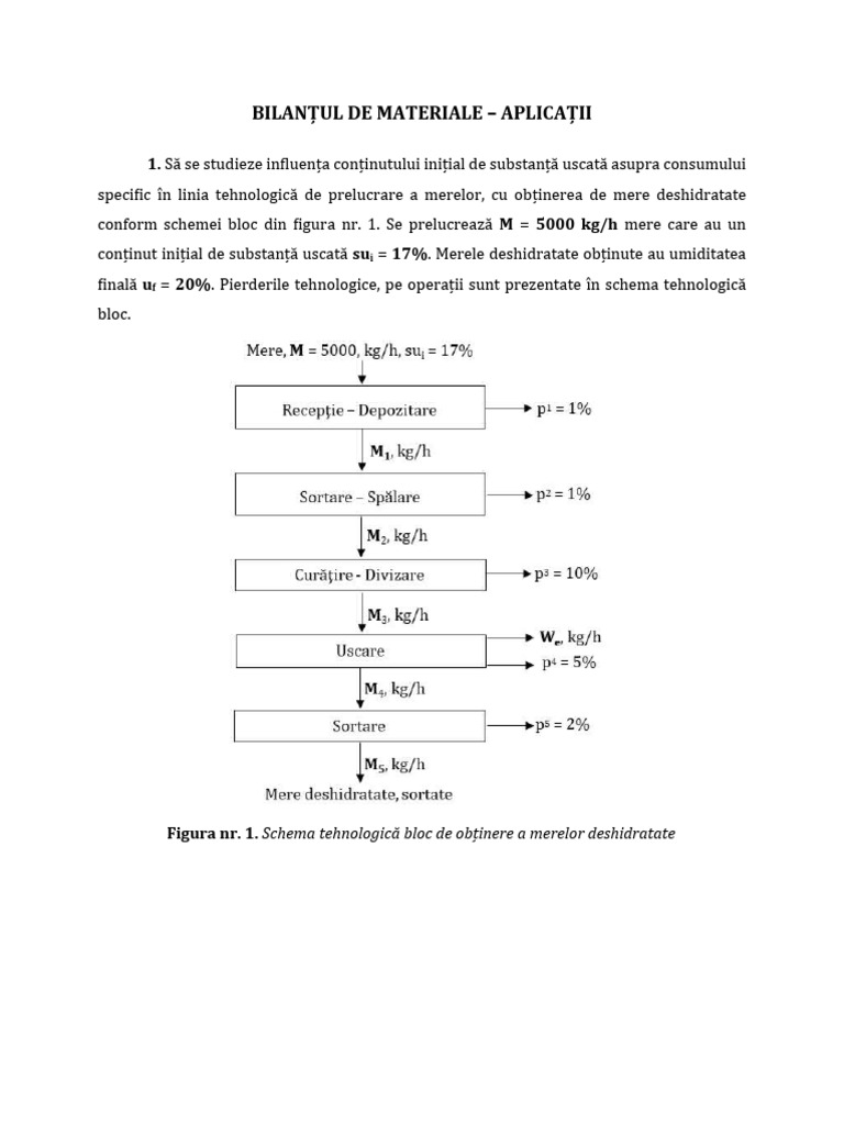 Bilantul de Materiale - 1 | PDF