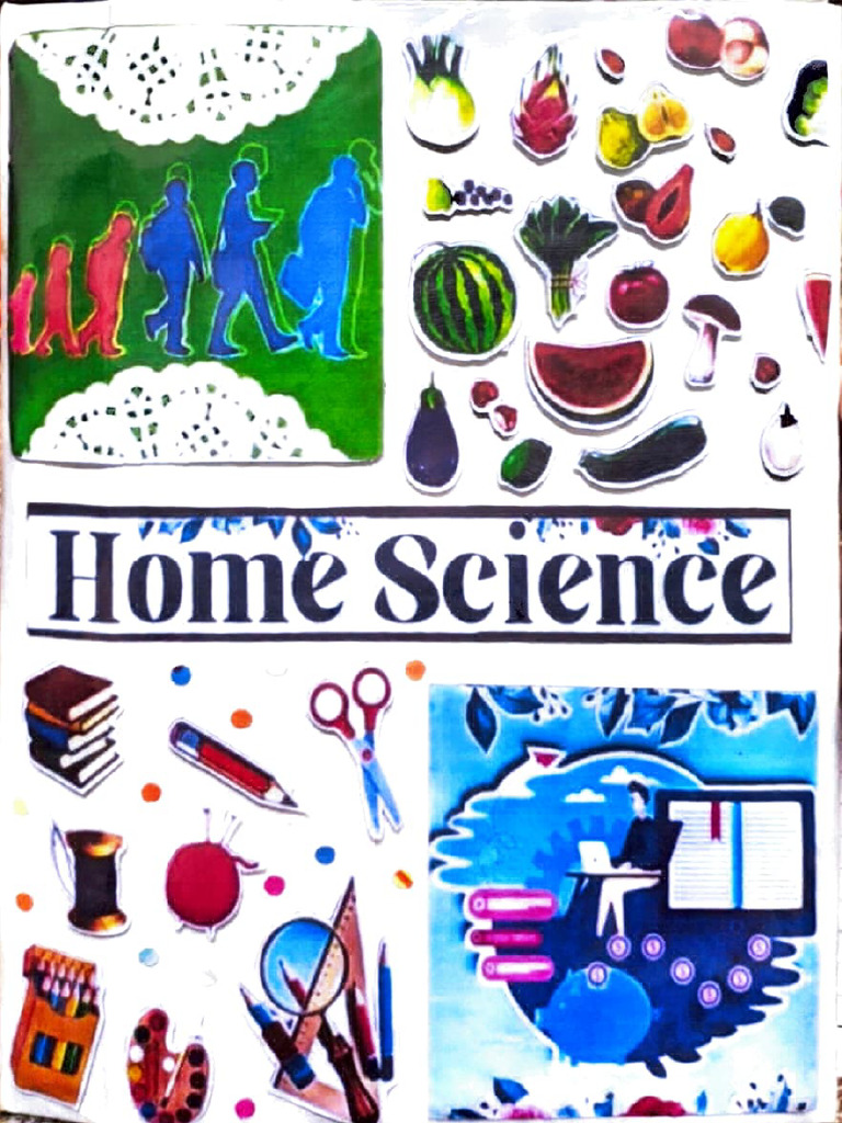 Home Science Project File | PDF