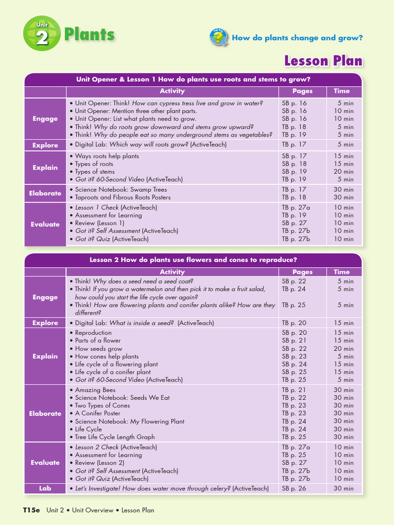 Plant Growth and Functions Lesson Plan | PDF | Root | Plants