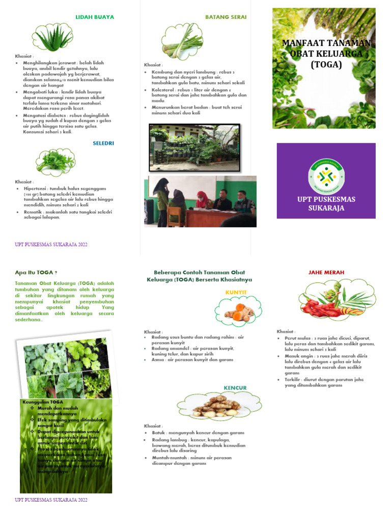 Leaflet Toga 2 SUKARAJA | PDF