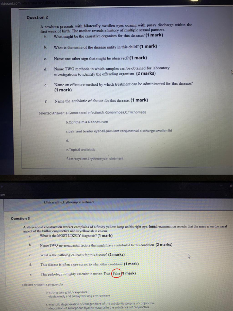 Saq Past Year Ques | PDF