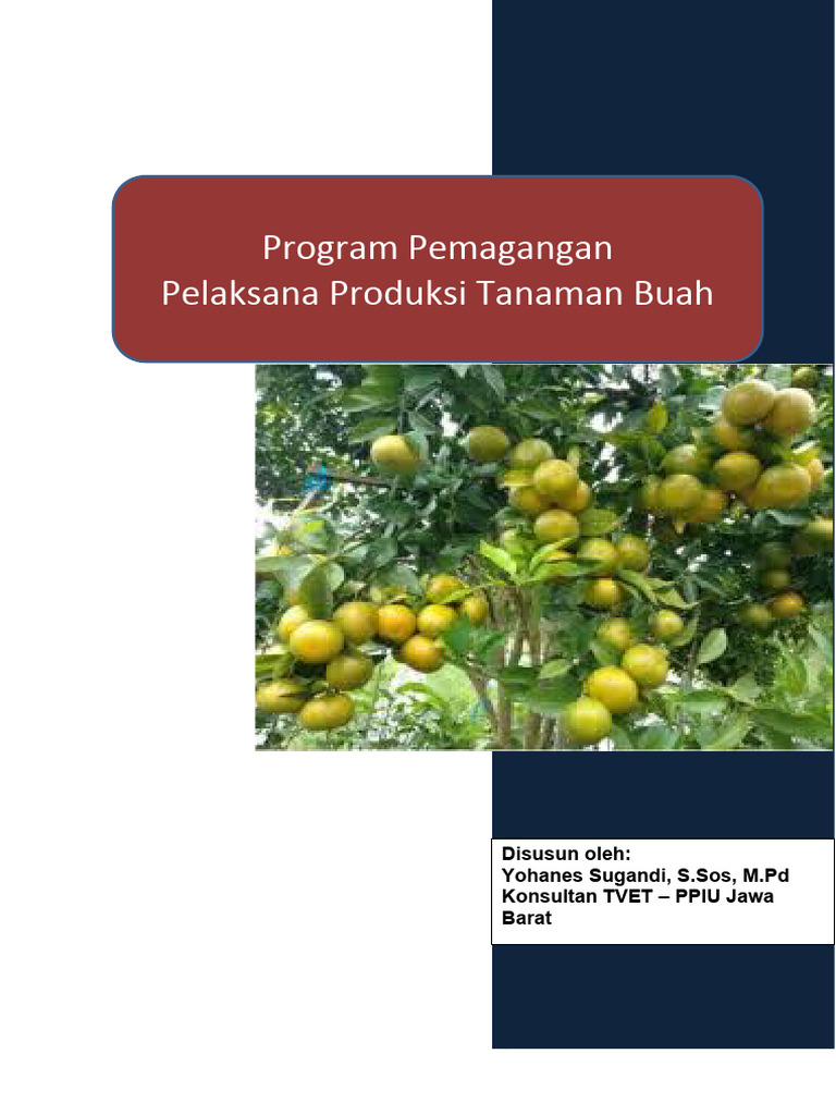 Pemagangan Produksi Tanaman Buah | PDF