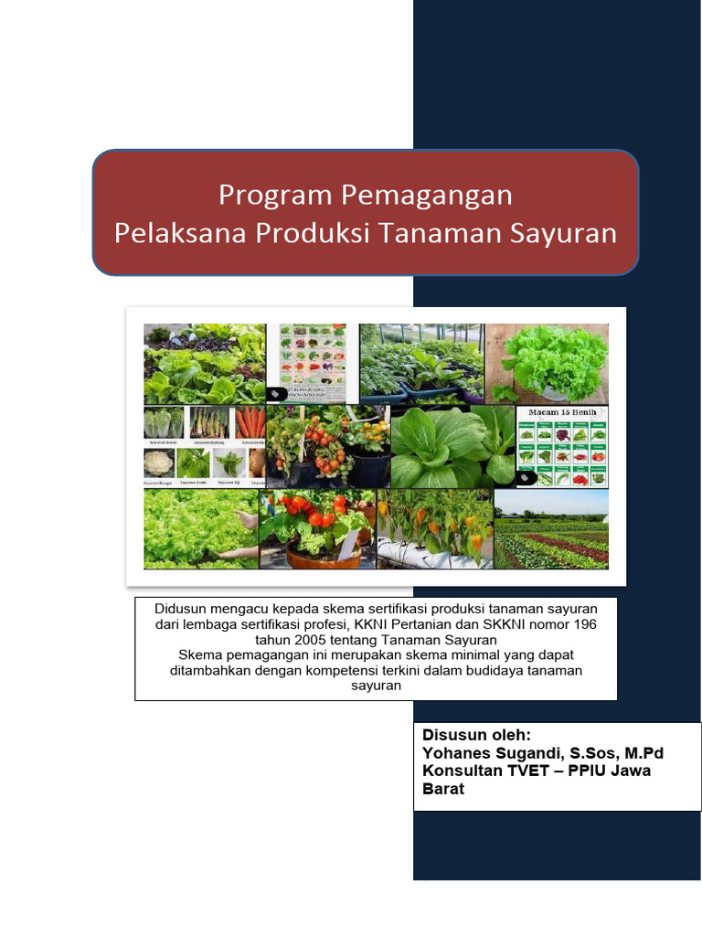 Skema - Program Pemagangan - Pelaksana Budidaya Tanaman Sayuran | PDF