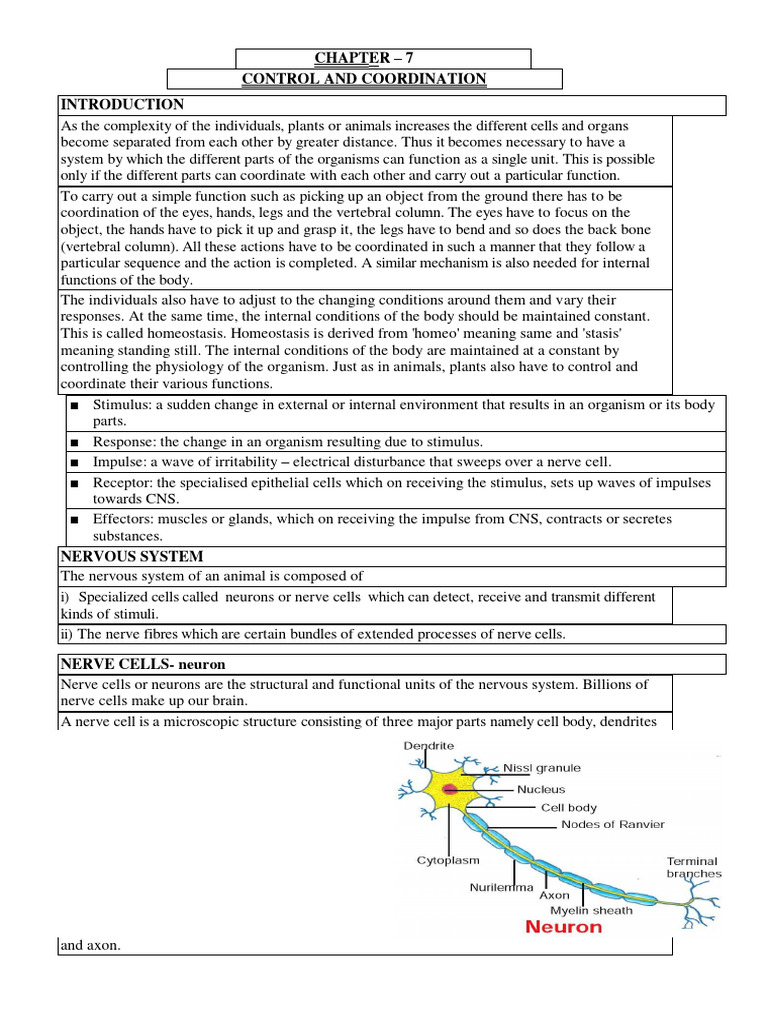 Control and Coordination - Explanation Notes | PDF