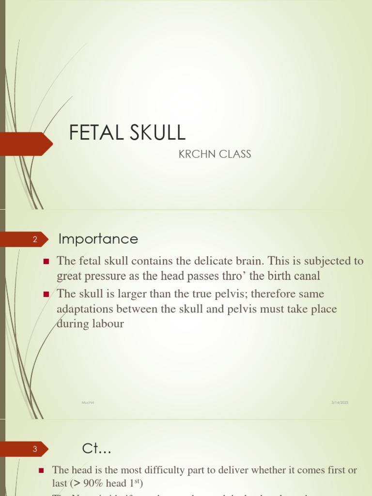 Lecture 5 Fetal Skull | PDF | Skull | Musculoskeletal System