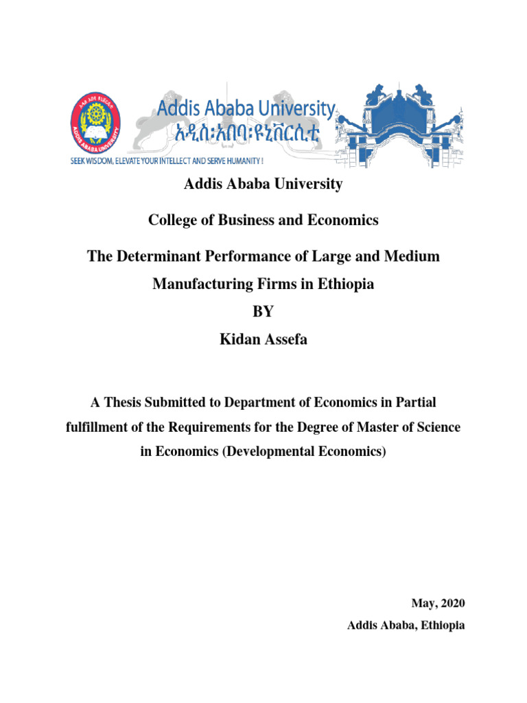 Kidan Assefa | PDF | Economic Growth | Labour Economics