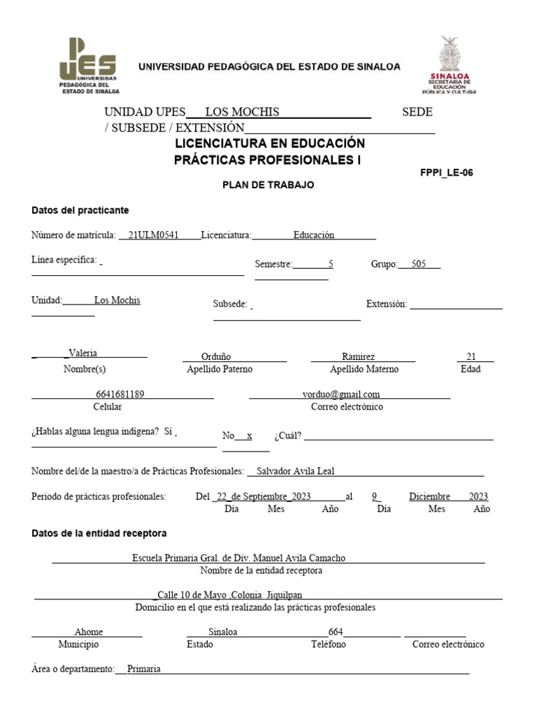 FPPI - LE-06 Plan de Trabajo 2023 | PDF