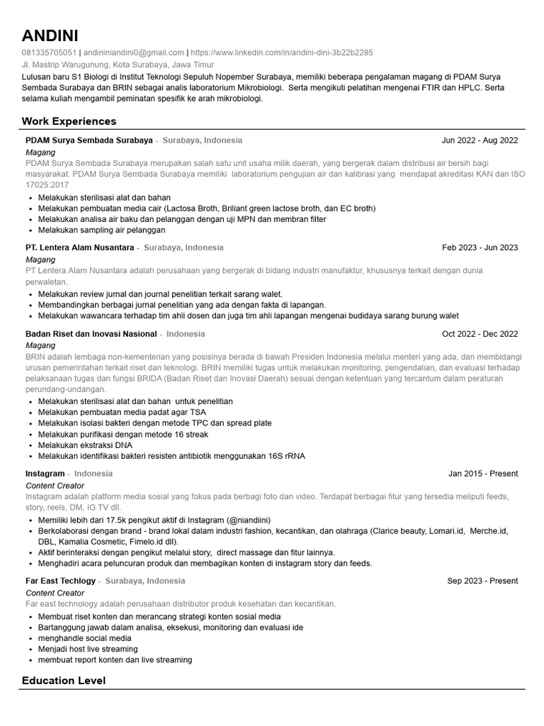 Andini CV | PDF | Bisnis