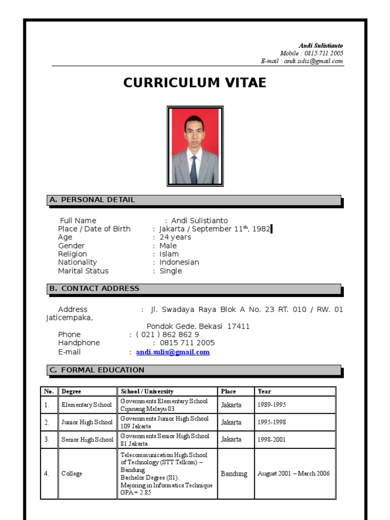 Curriculum Vitae | PDF | Software | Computing
