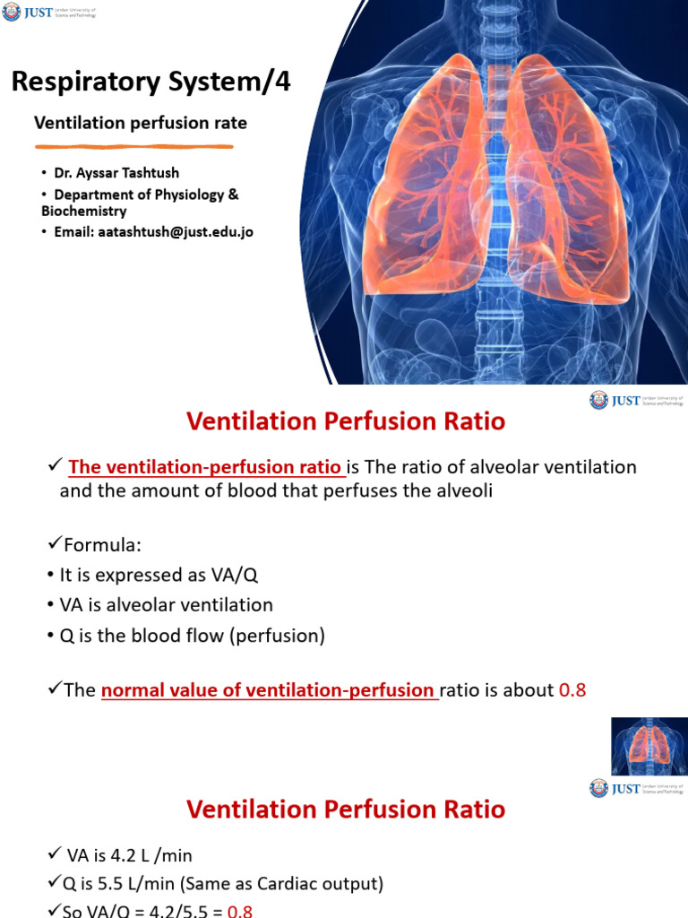 Respiratory System/4: Ventilation Perfusion Rate | PDF | Hemoglobin | Blood