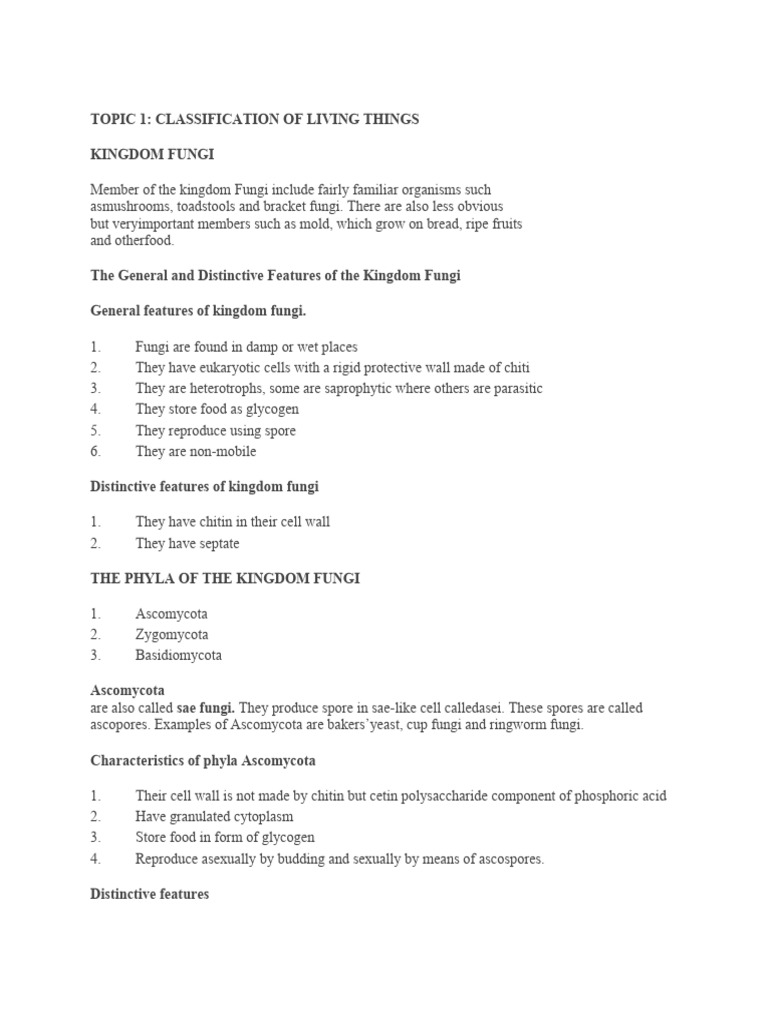 Biology 1 f2 Classification | PDF | Fern | Leaf