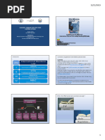International Ship Security Certificate | PDF