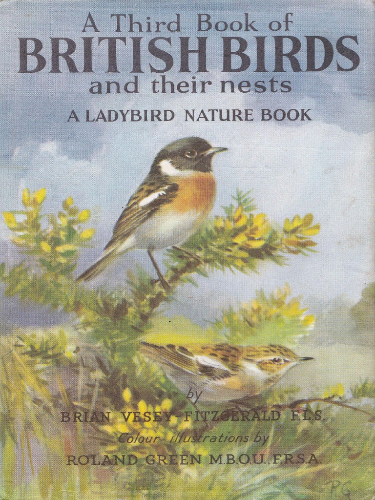 A Third Ladybird Book of British Birds Birds and Their Nests | PDF