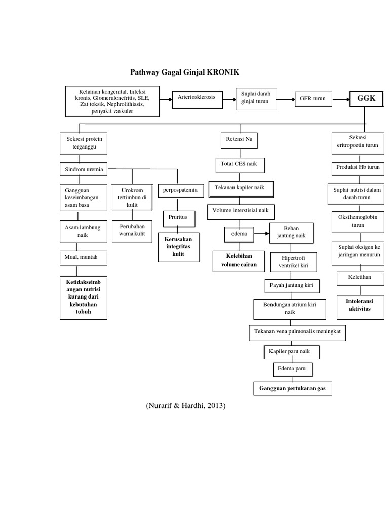 Pathway Gagal Ginjal Kronik | PDF