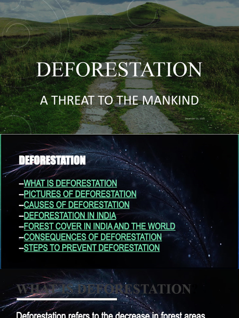 Deforestation | PDF | Deforestation | Forests