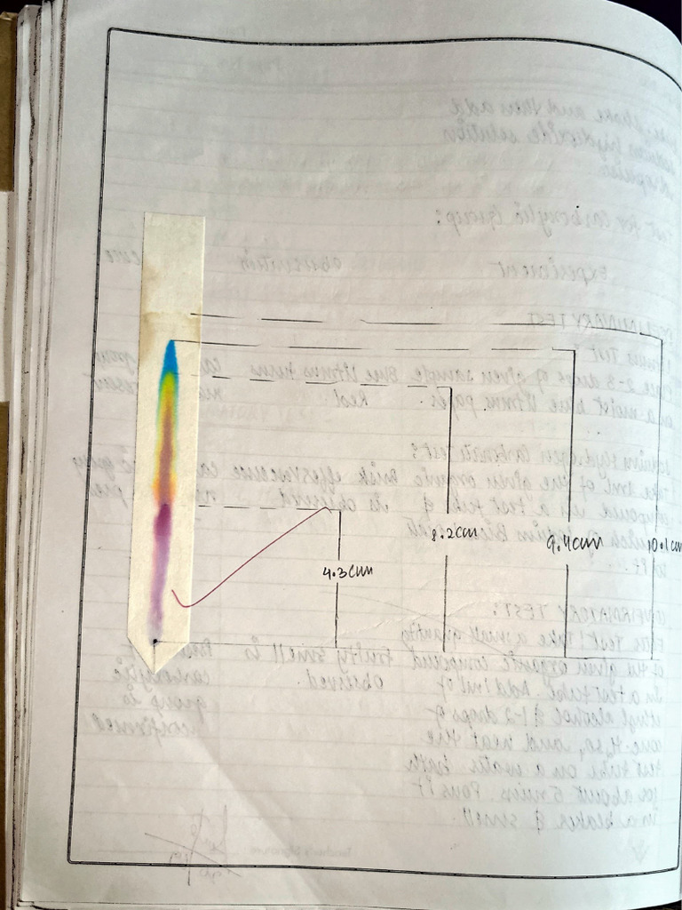 Chromatography Practical | PDF