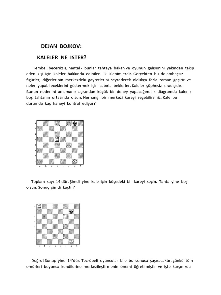 Dejan Bojkov Kaleler Ne İster | PDF