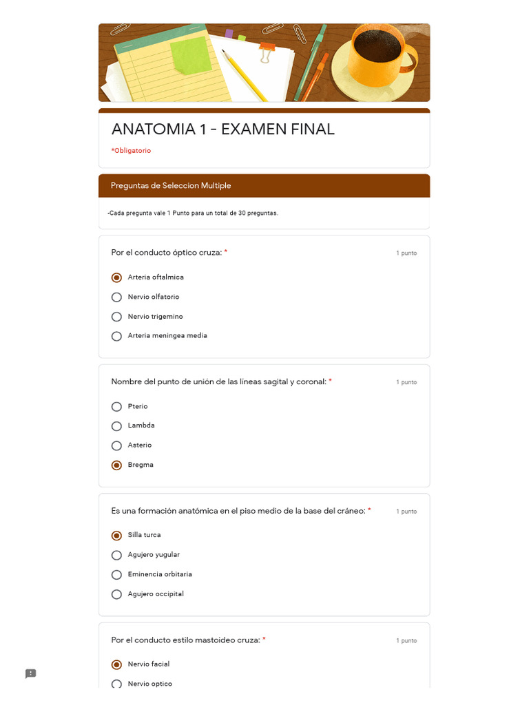 Anatomia 1 - Examen Final | PDF | Laringe | Anatomía