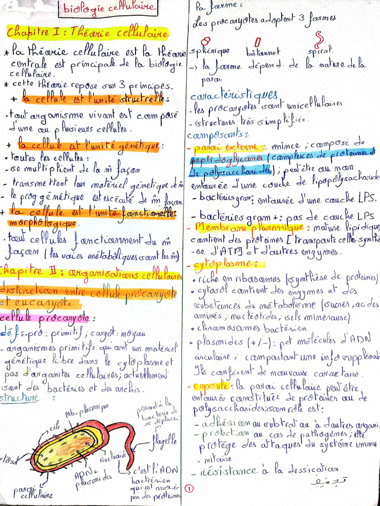 Résumé Biologie Cellulaire 2 | PDF