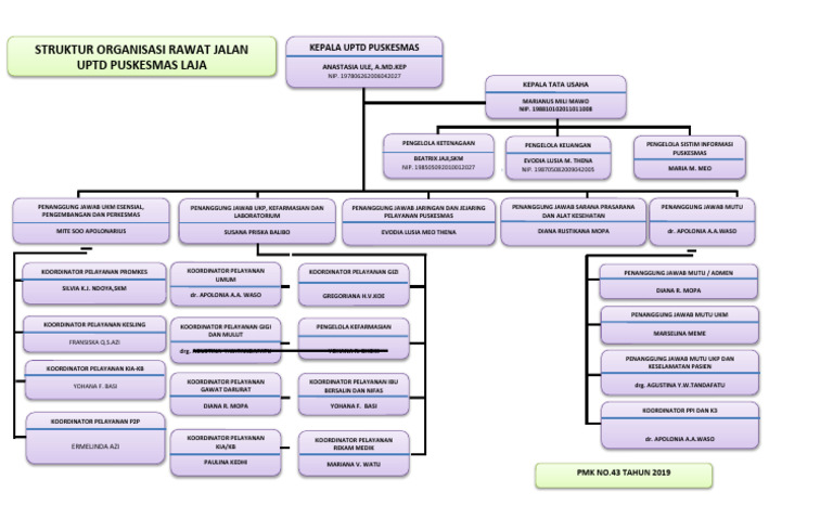 Struktur Organisasi Puskesmas | PDF