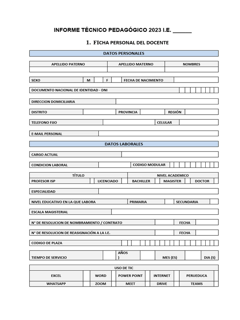 Formato Informe Tecnico Pedagogico 2023 | PDF | Evaluación | Aprendizaje