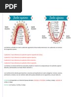 Nomenclatura Dentaria - El Código Internacional (FDI) | PDF | Diente ...
