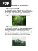 Climas de Centroamérica: Tipos y Características | PDF | Zona tropical ...
