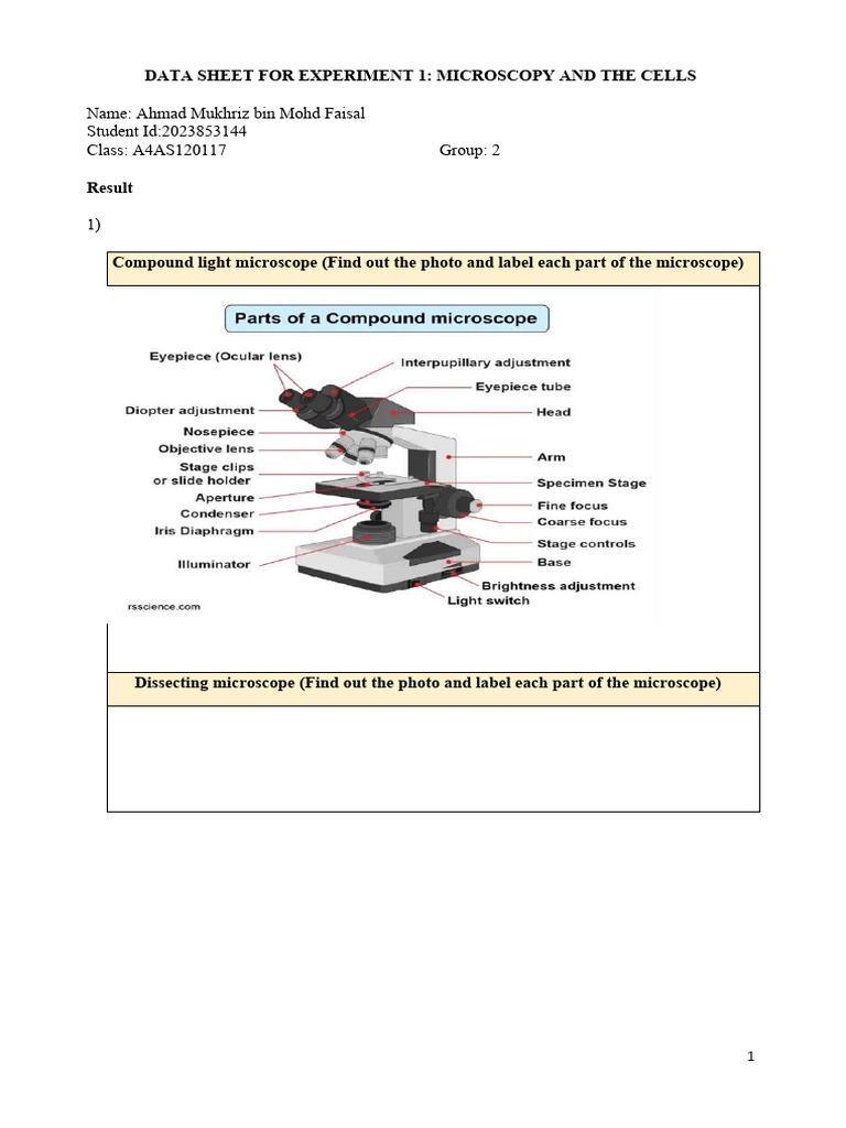 Bio Experiment 1 Mukhriz | PDF