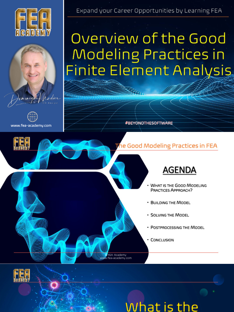 An Overview Of The Good Modeling Practices In Fea Pdf Finite 3209