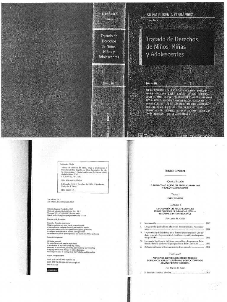 Mary Beloff La Sanción en El DPJ y El Ideal de La Educación | PDF