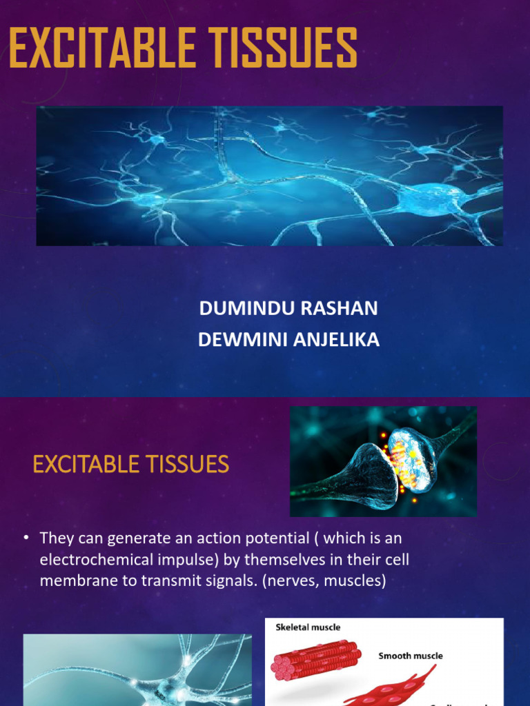 Excitable Tissues Pre Med Class Pdf