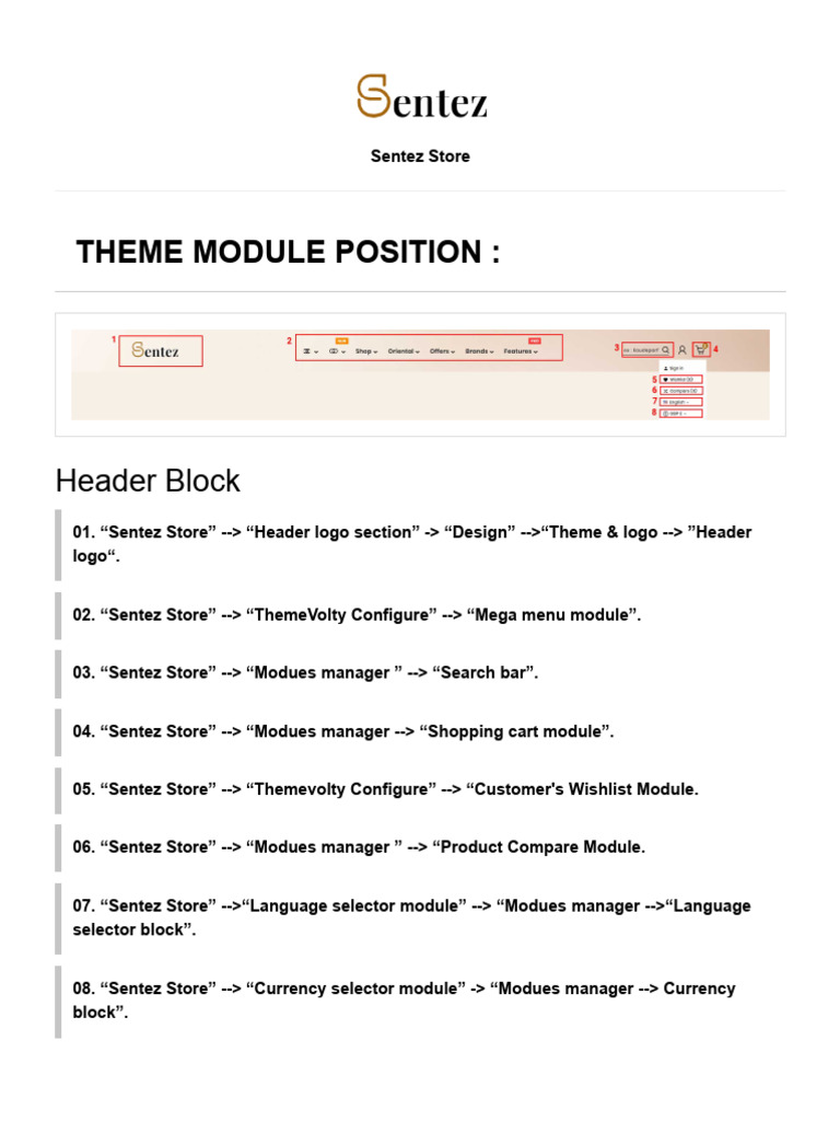 Sanez Documentation | PDF