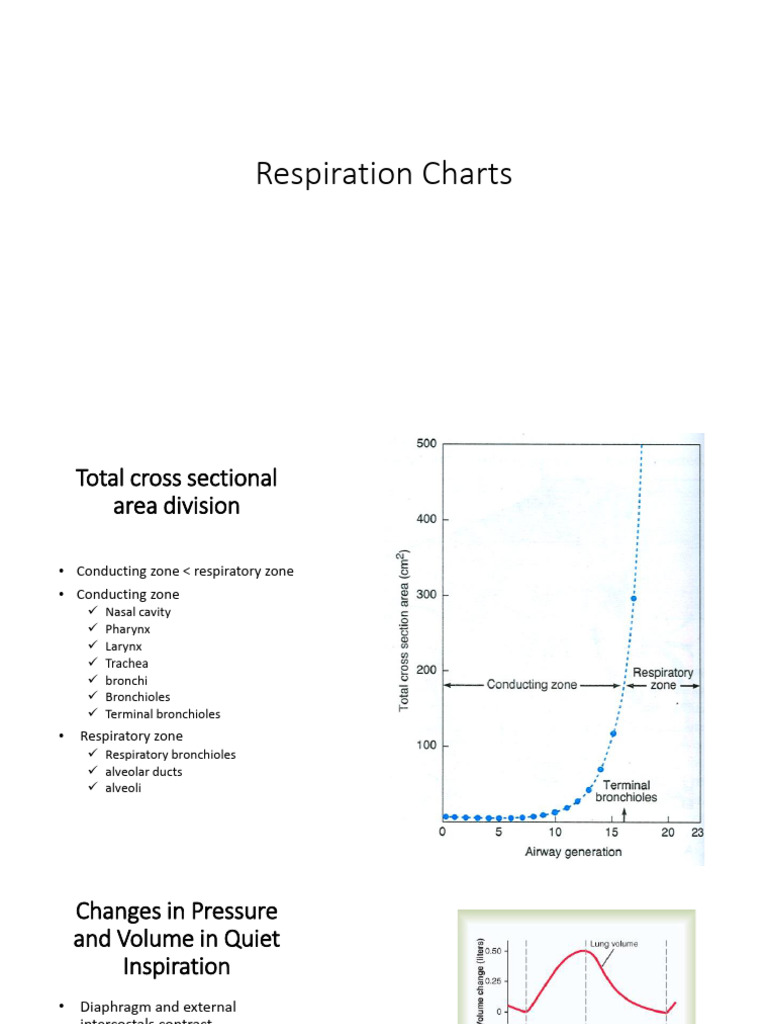 Respi & CVS Charts | PDF