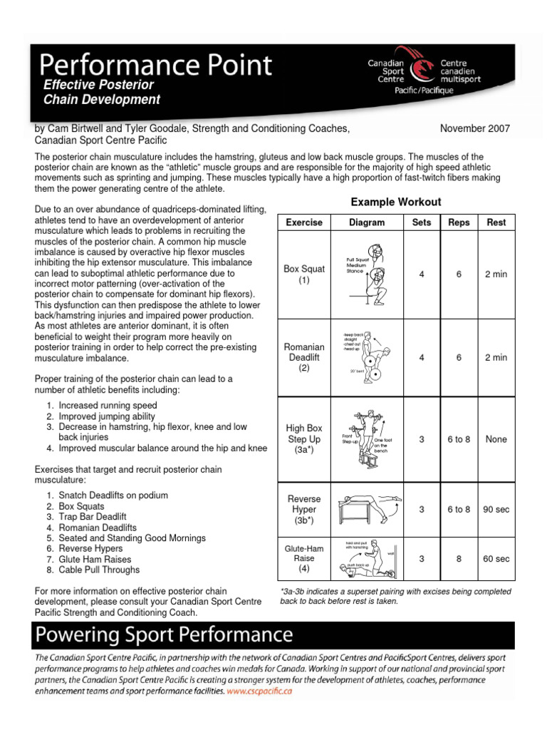 Performance Point SC 0711 Posterior Chain | PDF | Wellness