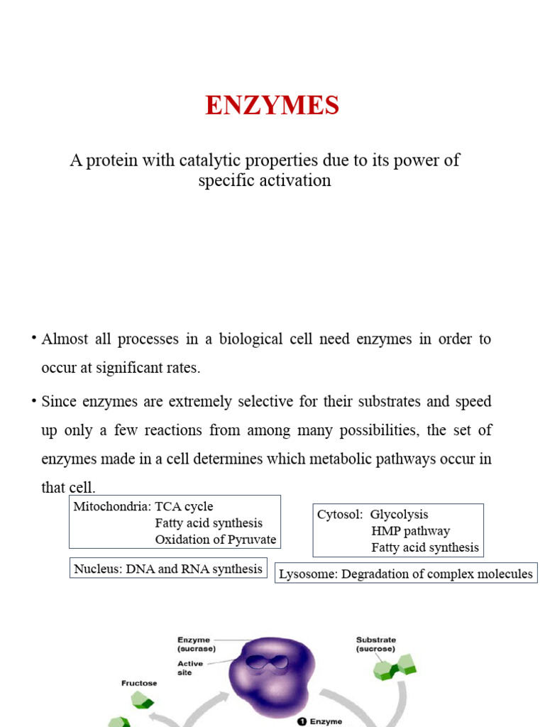 Enzy. Defi. Class. | PDF | Enzyme | Cofactor (Biochemistry)