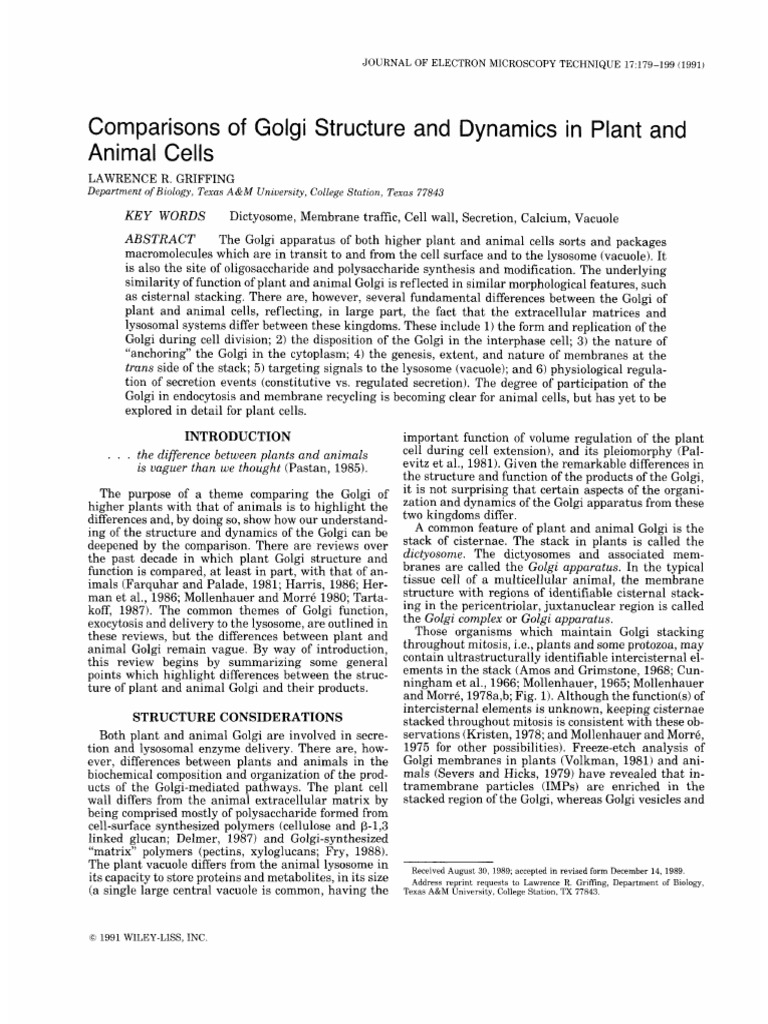 golgi structure | PDF | Vesicle (Biology And Chemistry) | Mitosis