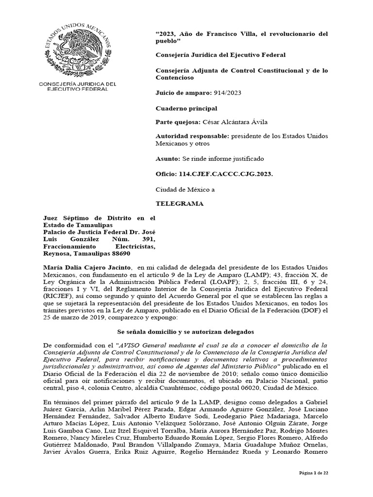 Informe Justificado FORMATO GENERAL 408-2023 | PDF | Caso de ley | Constitución