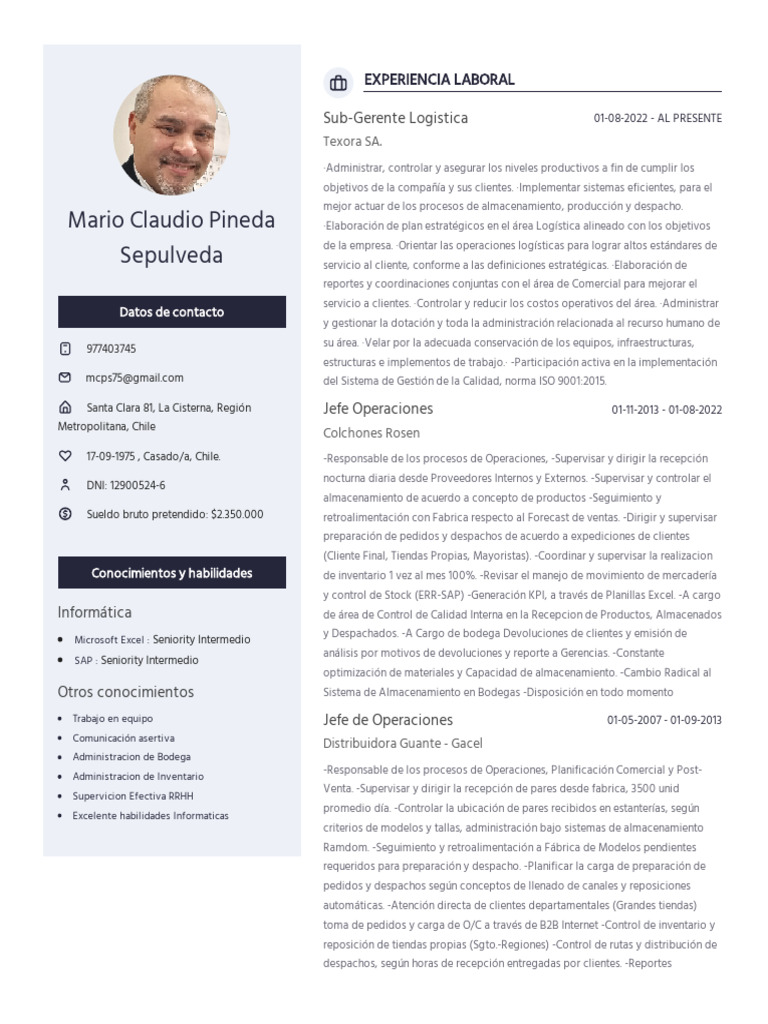 CV Mario Pineda. Actualizado 2 | PDF