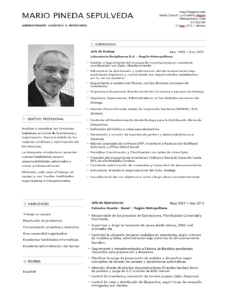 CV Mario Pineda. Actualizado | PDF