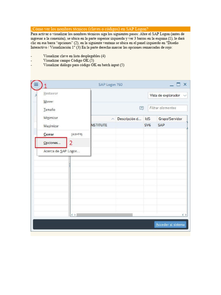 Cómo ver los nombres técnicos (claves o codigos en SAP Logon | PDF