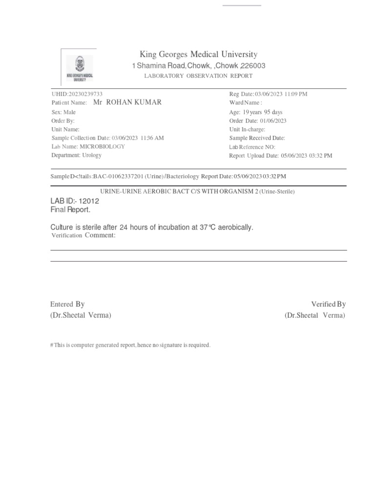 Report After Rohan | PDF