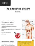 Endocrine-System ppt | PDF | Endocrine System | Hormone