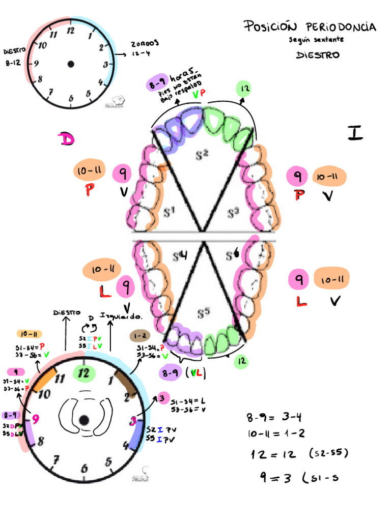 Posición de Operador Según Lado | PDF