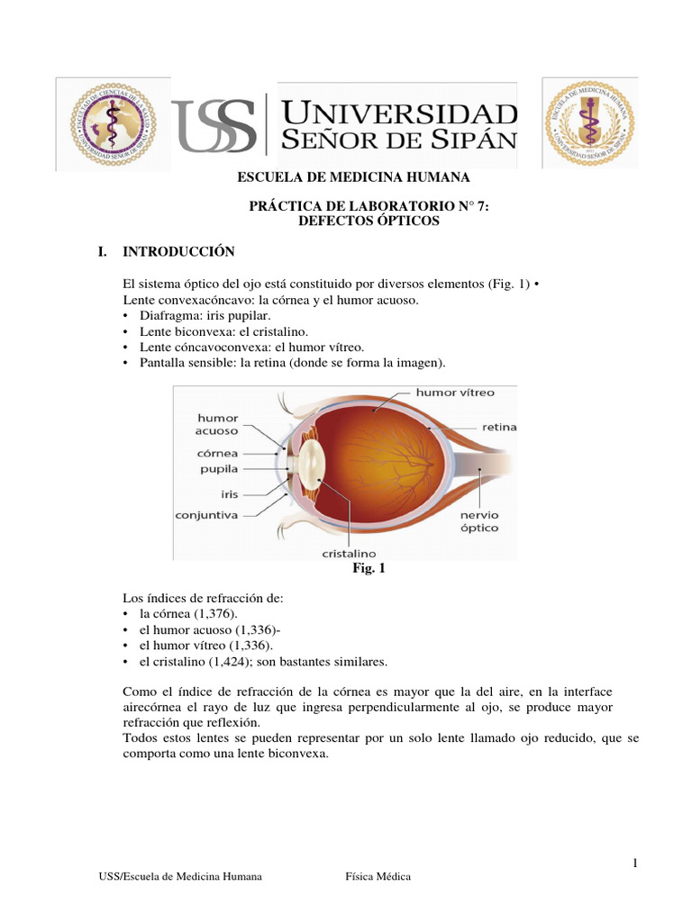 Practica 7 Defectos Opticos | PDF | Ojo humano | Óptica