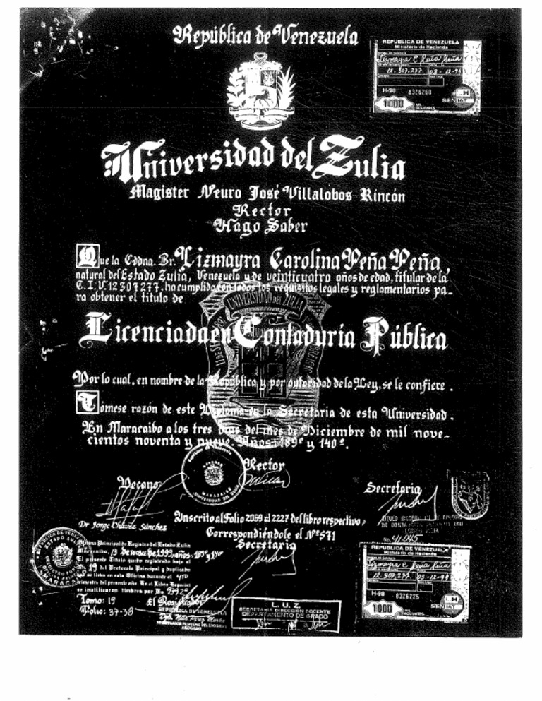 Titulo de Contador | PDF