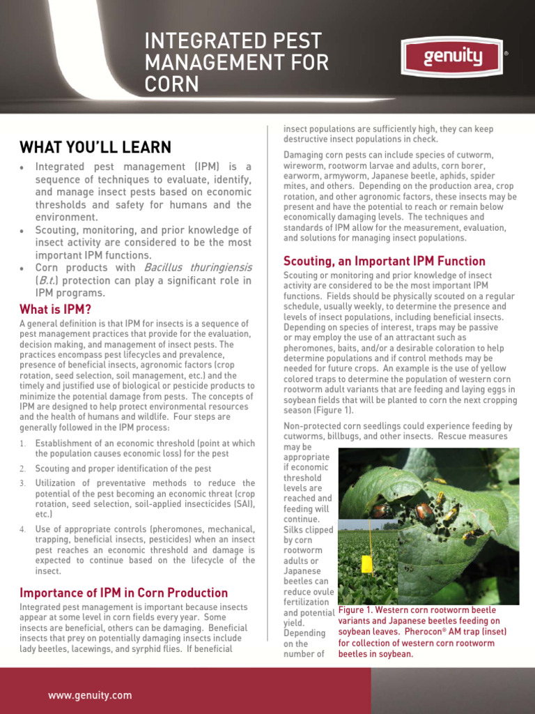 Corn1 - Integrated Pest Management For Corn | PDF