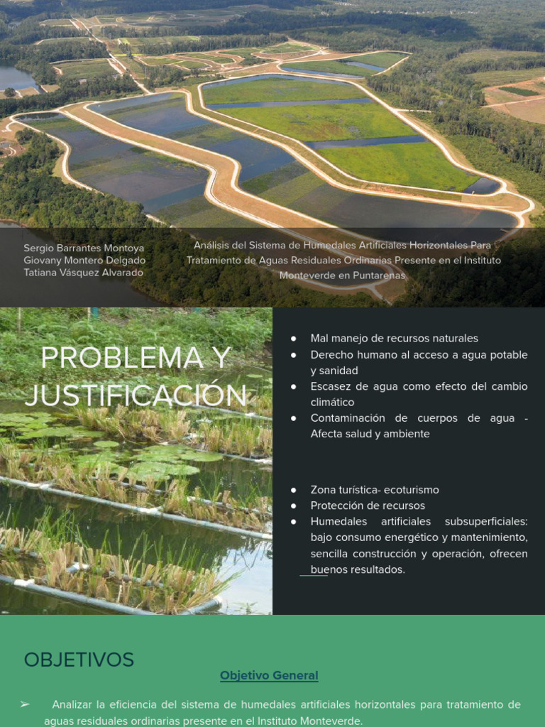 Análisis Del Sistema de Humedales Artificiales Horizontales para Tratamiento de Aguas Residuales ...