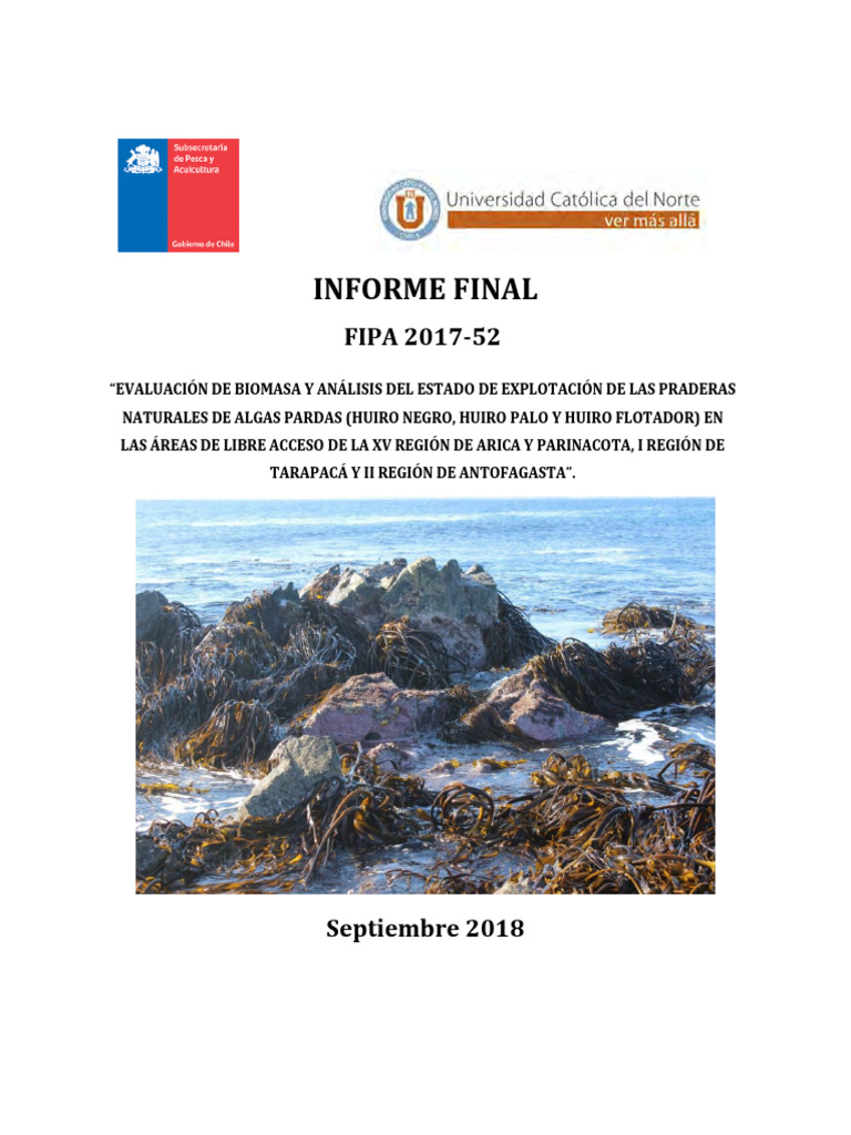 Articles-96206 Informe Final | PDF